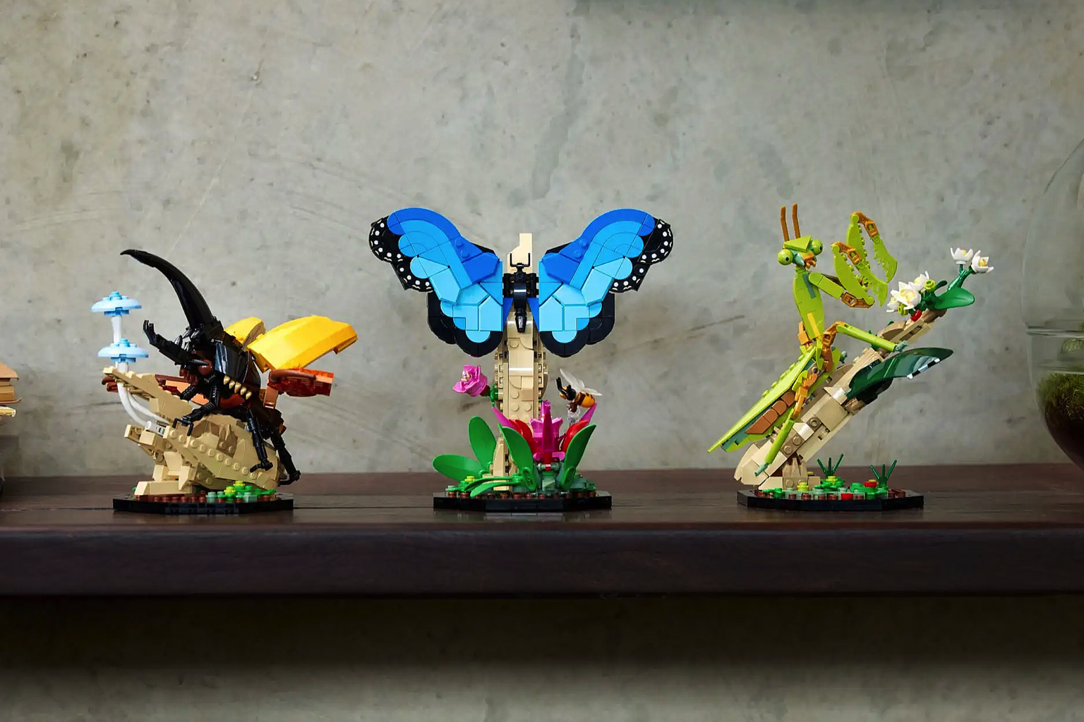 La nouvelle collection d'insectes de LEGO, c'est la chasse aux insectes ...